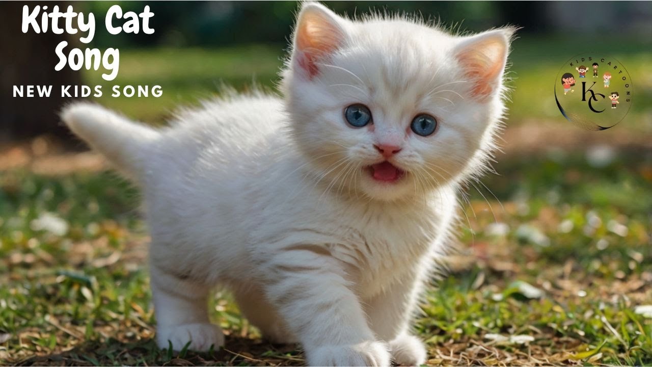 KIDS CARTOONS, KIDS POEMS, KIDS SONGS, Kitty Cat Song New Kids Song - YouTube