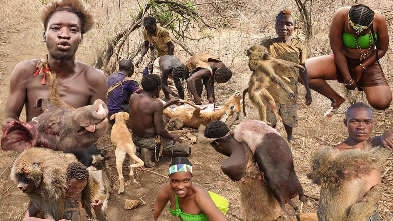HOW HADZABE TRIBE HUNT AND COOK BABOONS AND MONKEYs FOR A SURVIVAL IN THE FOREST - YouTube