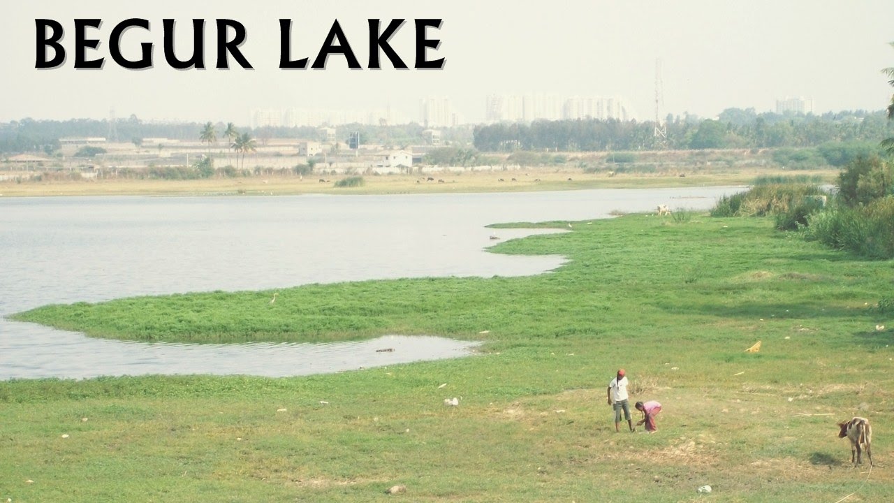 Serene Begur Lake Bangalore - YouTube