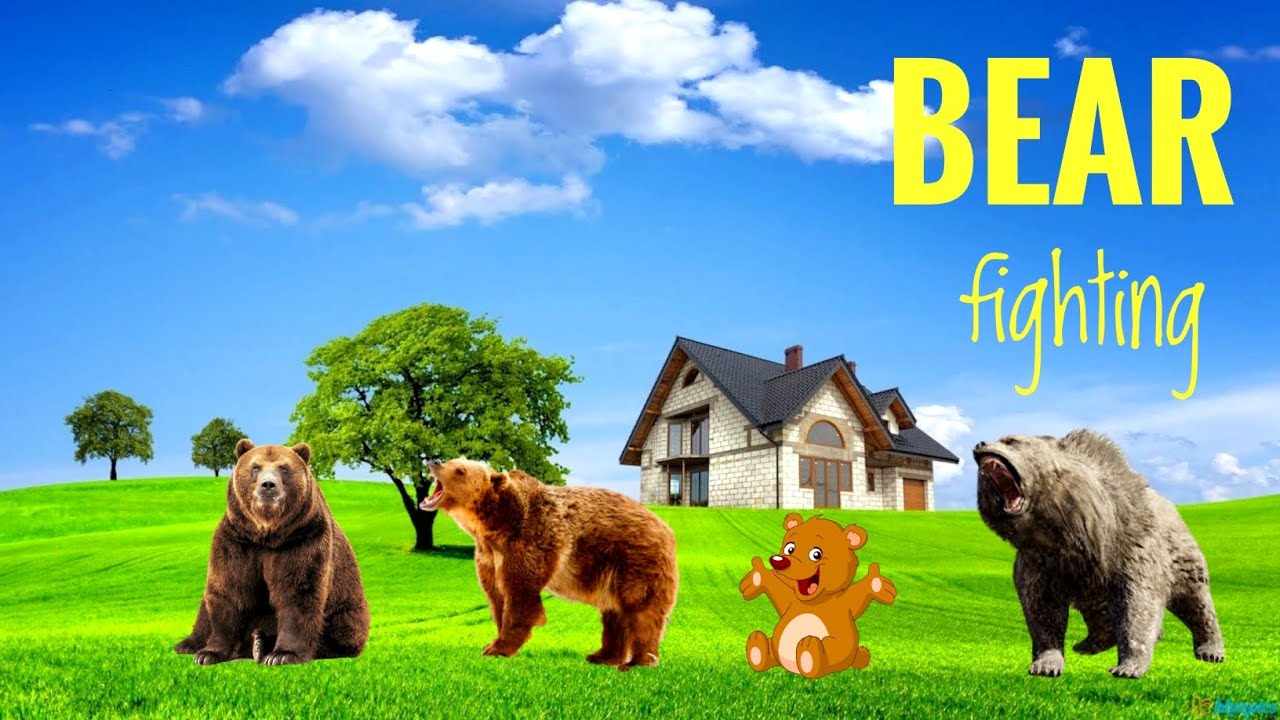 Bear cartoon || Bear Hunt || Bear And Masha 🐻🐻 - YouTube