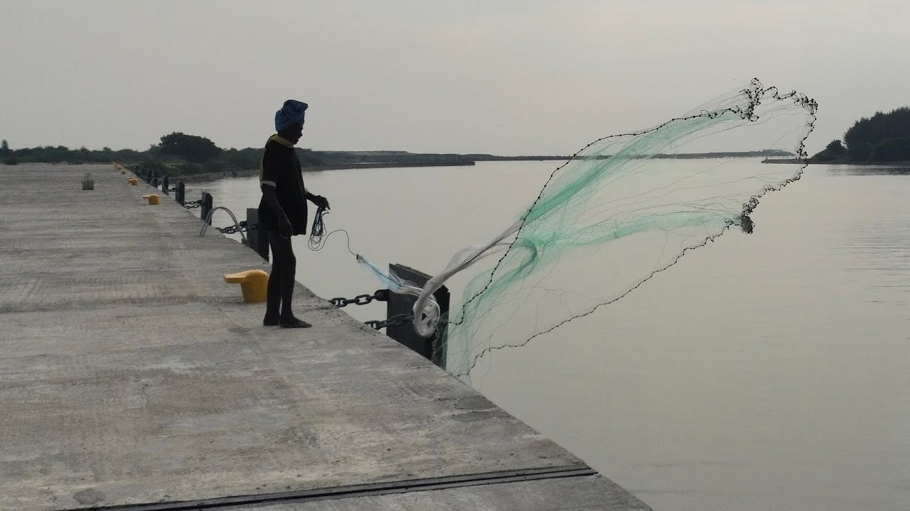 Wera level fish 🐟🐟🐠 - YouTube