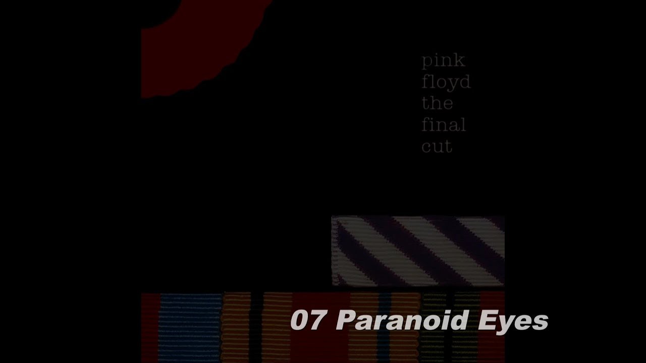 7. "Paranoid Eyes" from The final cut - Pink Floyd HD - YouTube