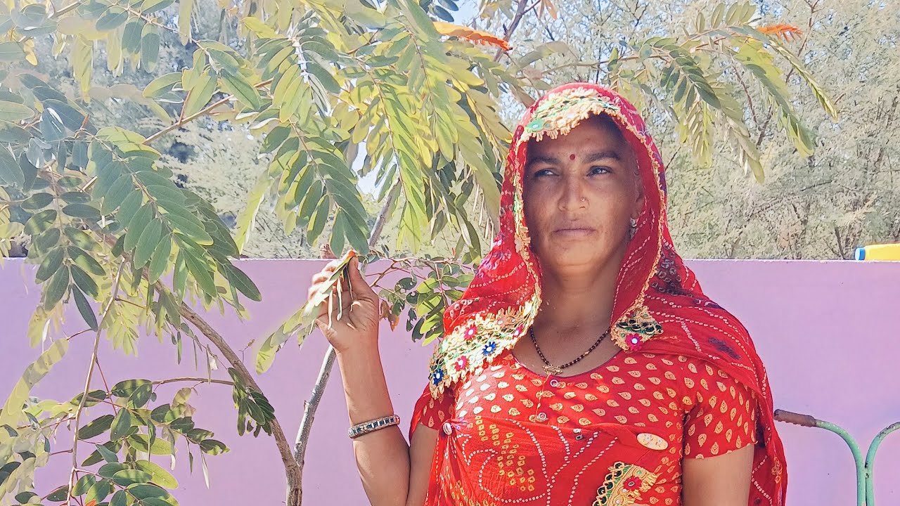 Manju Ruhela sekhawati lokgeet is live - YouTube