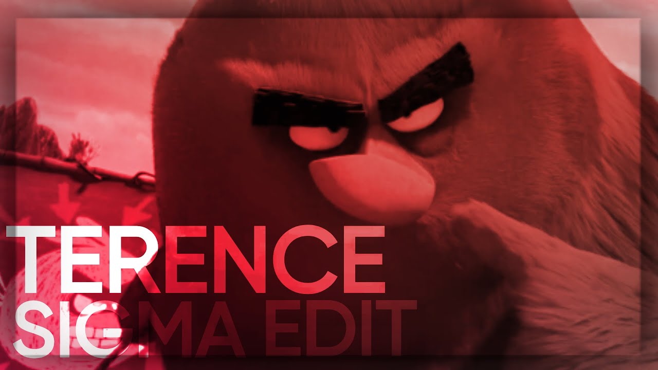 Angry Birds ll TERENCE SIGMA EDIT - YouTube