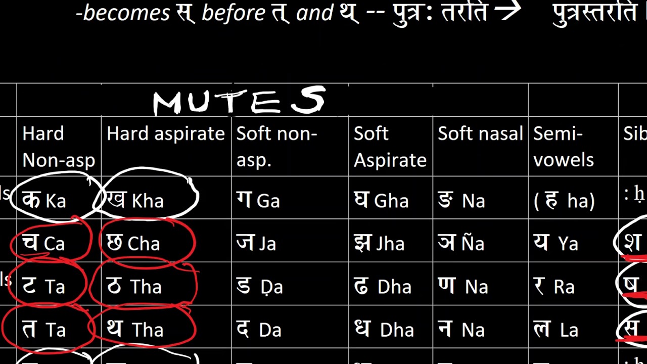 37 Sandhi Rules Visarga Followed By Hard Consonants - YouTube