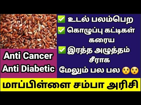 மாப்பிள்ளை சம்பா அரிசி பயன்கள்|Mappillai samba rice benefits|mappillai ...