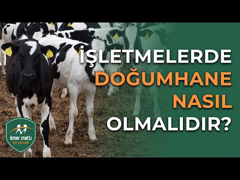 Doğumhane Nasıl Olmalıdır?