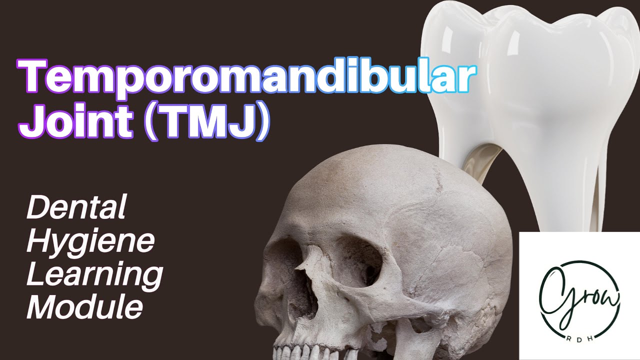 Understanding the Temporomandibular Joint (TMJ): A Dental Hygiene ...