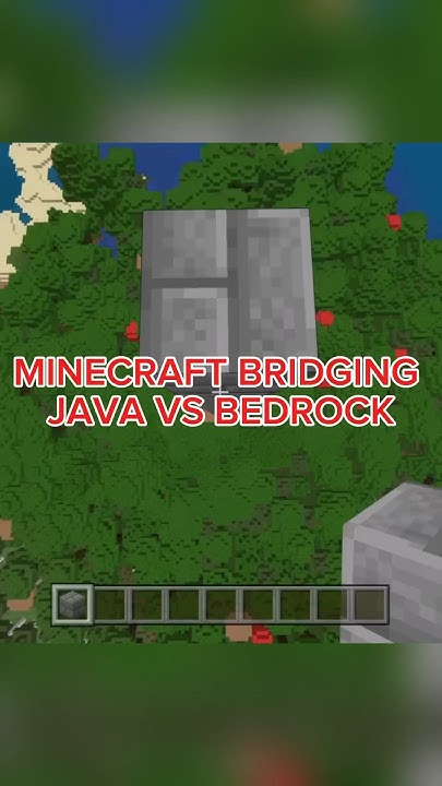 Minecraft Bridging Java Vs Bedrock 🥊 - YouTube