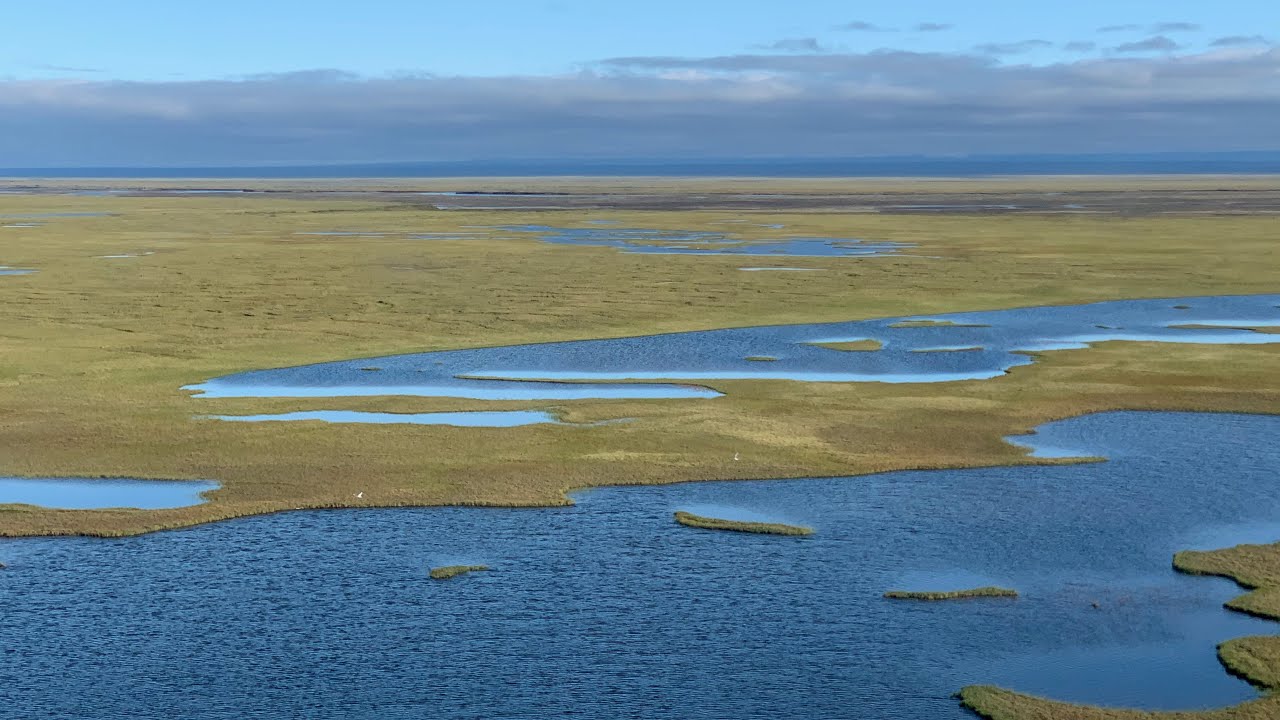 Arctic National Wildlife Refuge (ANWR) August 2021 - YouTube