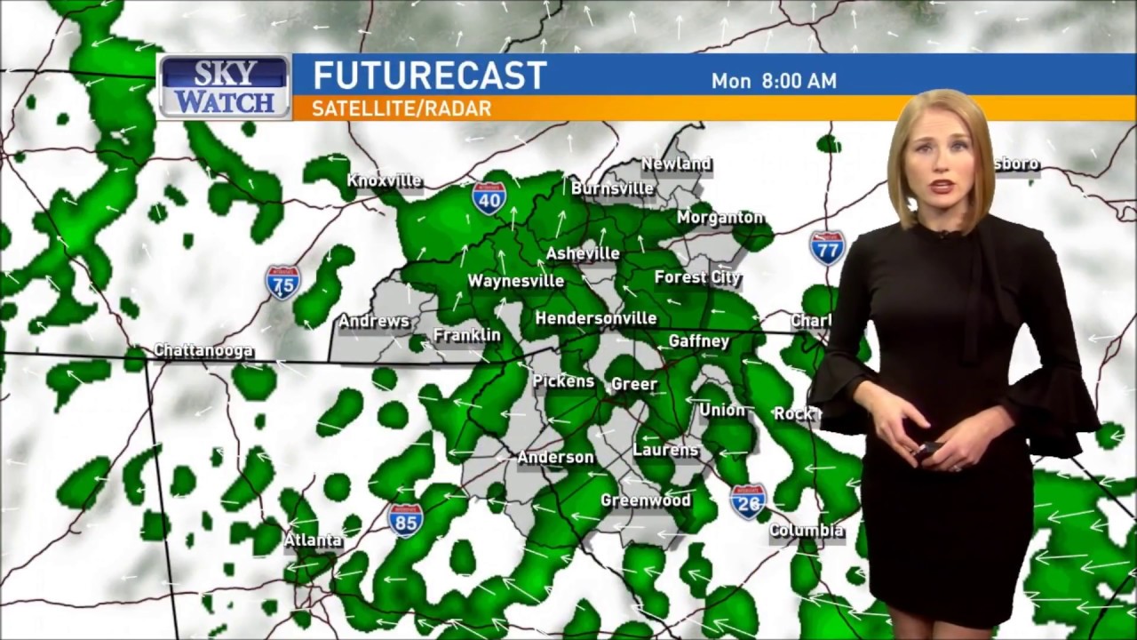 Ingrid Allstaedt ABC WLOS News 13 This Morning 3/19/18 - YouTube