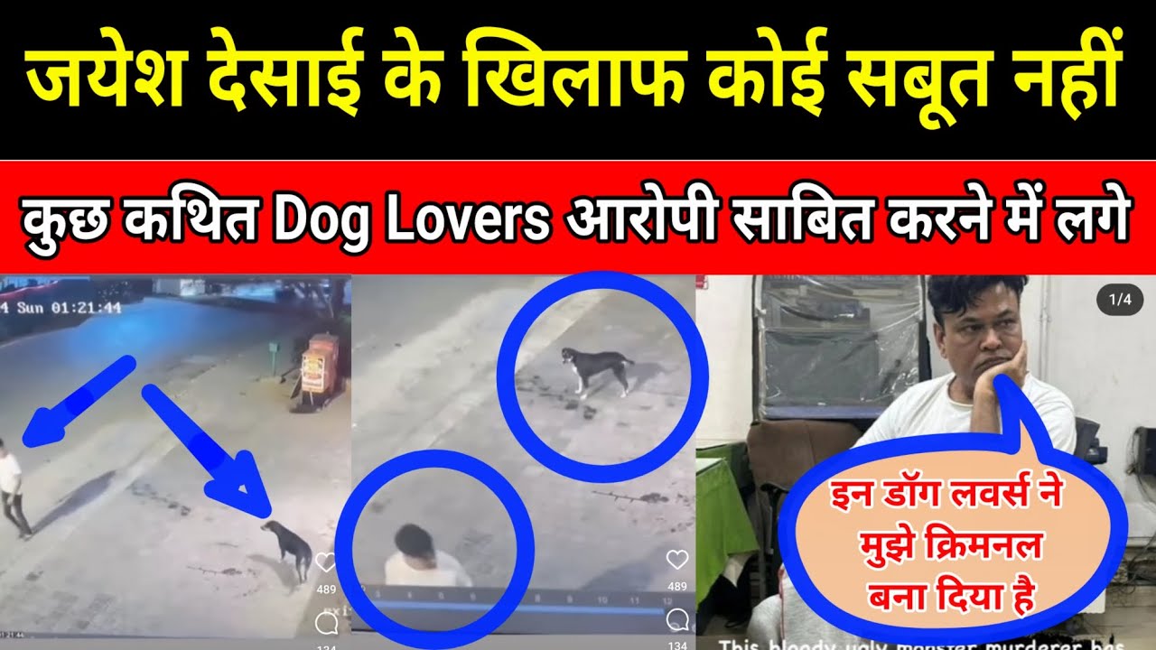 Runwal Elegante Appartments Video Dog Lovers Jayesh Desai runwal-elegante-appartments-video-dog-lovers-jayesh-desai