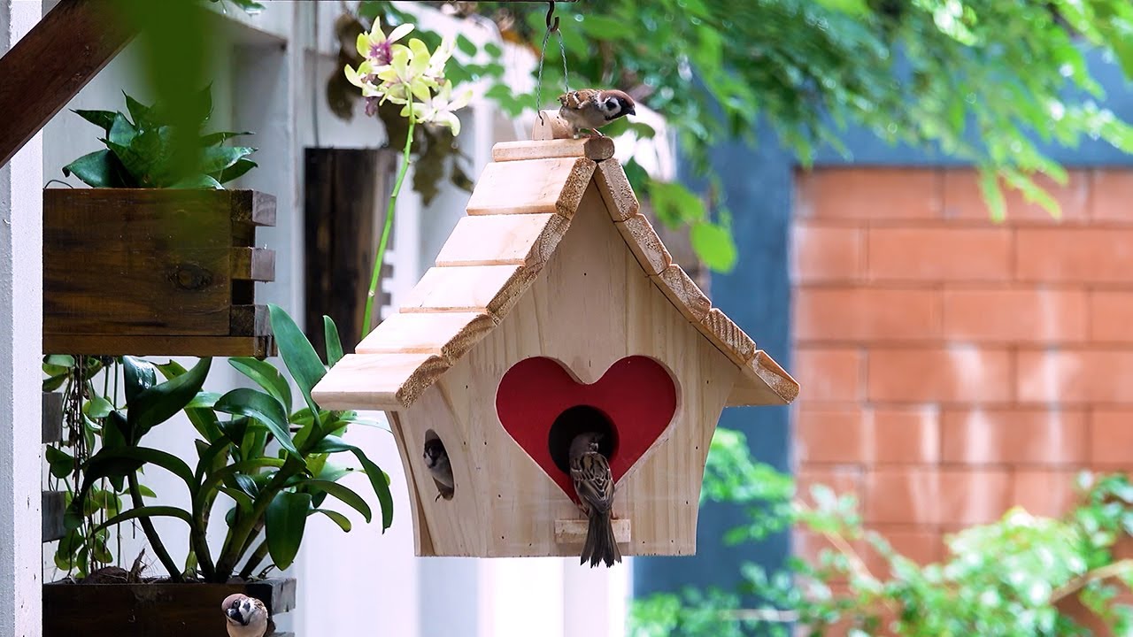 Smart Woodworking Ideas For Pets Build Heart Shape Bird House and Bird ...