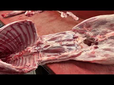 Kurbanlık Koç Kesimi ve Parçalama 🥩 | Usta Kasaptan Detaylı Anlatım