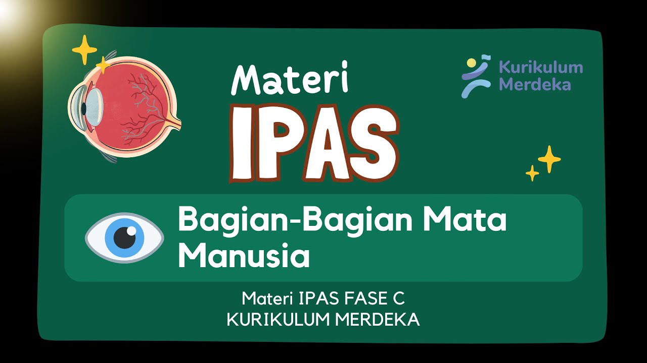 Mengenal Bagian-Bagian Mata Manusia | Materi IPAS Fase C Kurikulum ...