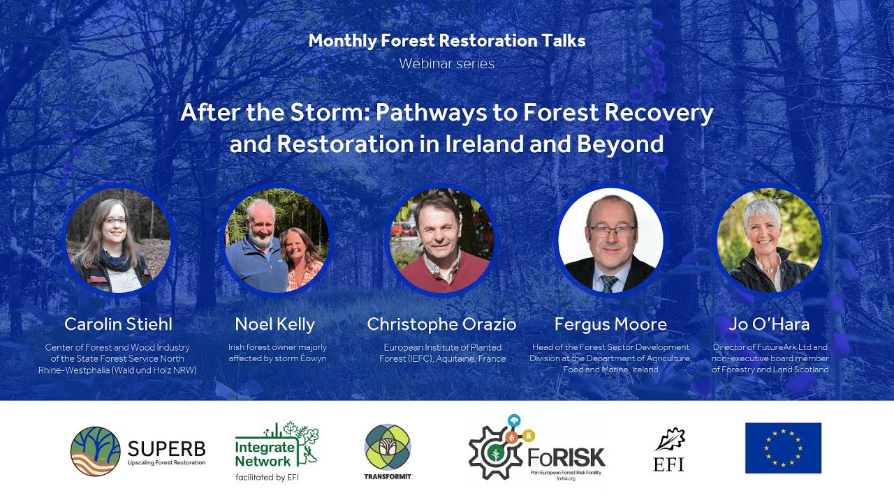 After the Storm: Pathways to forest recovery and restoration in Ireland ...