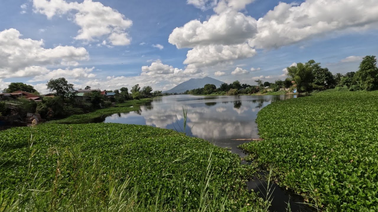 CABIAO FLOATING MARKET NUEVA ECIJA PHILIPPINES - YouTube