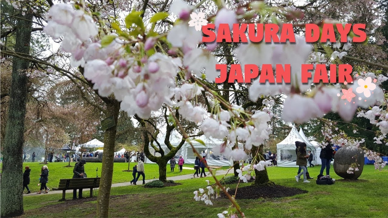 First official vlog SDJF - YouTube