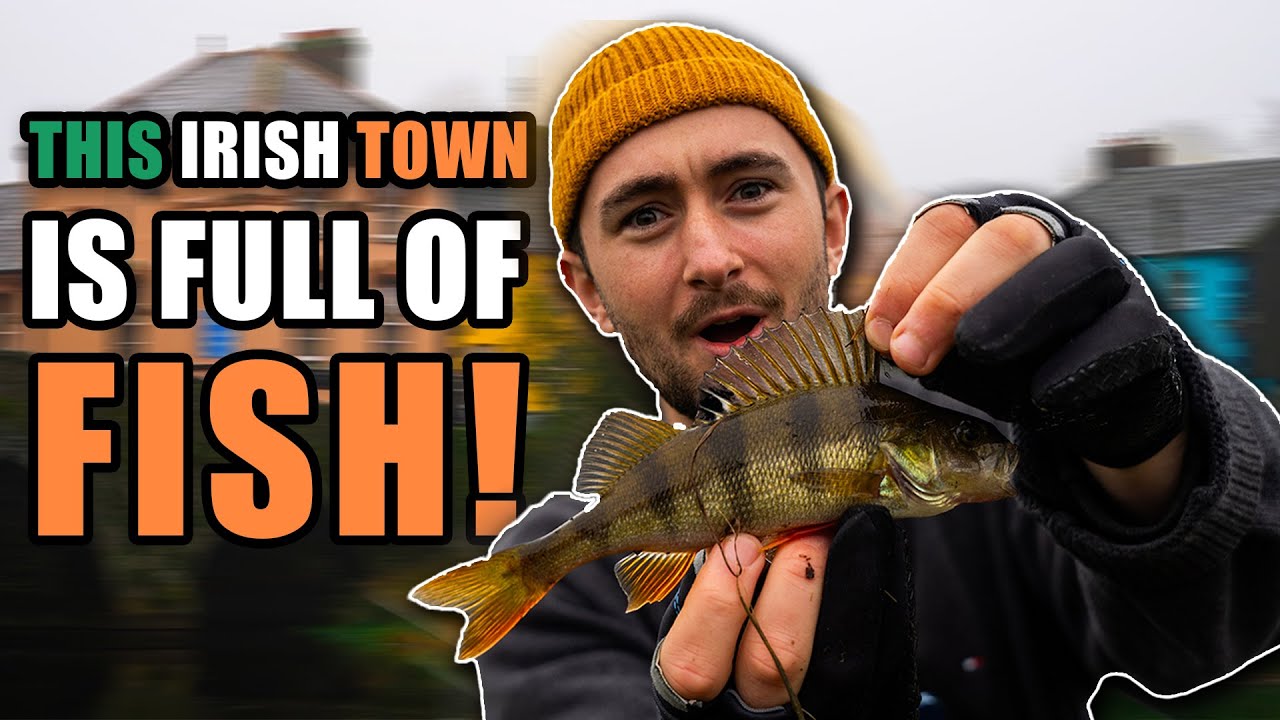 Perch Fishing in a Small Irish Town - YouTube