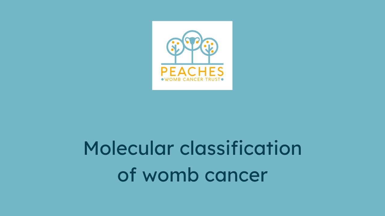 Understanding my tests: molecular classification of womb cancer - YouTube