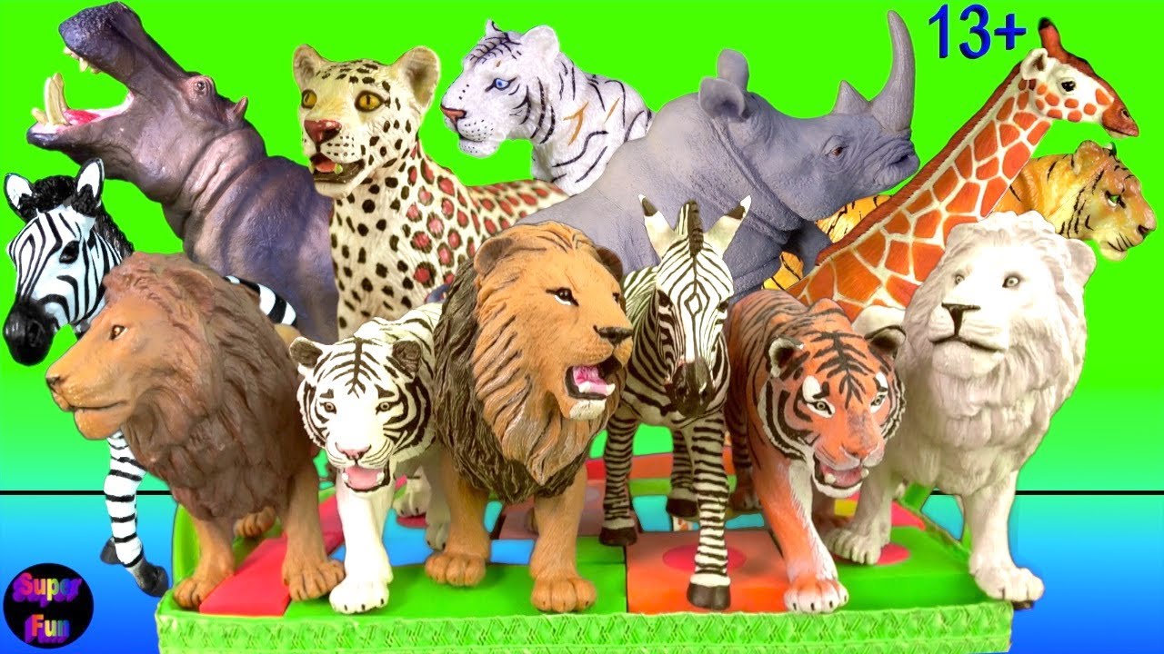 Big Cat Week - Zoo Animals Lion Tiger Elephant Leopard Hippo Rhino ...