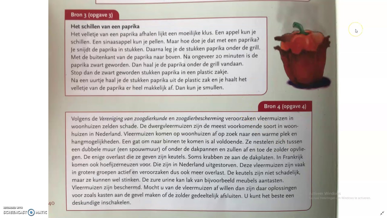 BLITS, Toets B (bron 1 t/m 3 voorgelezen) - YouTube