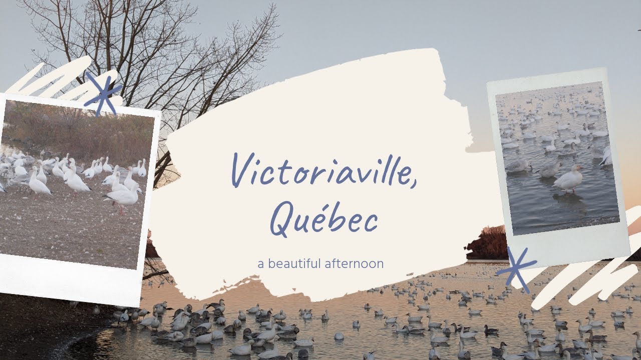 Our little trip to Victoriaville, Québec (Canada) 🇨🇦 - YouTube
