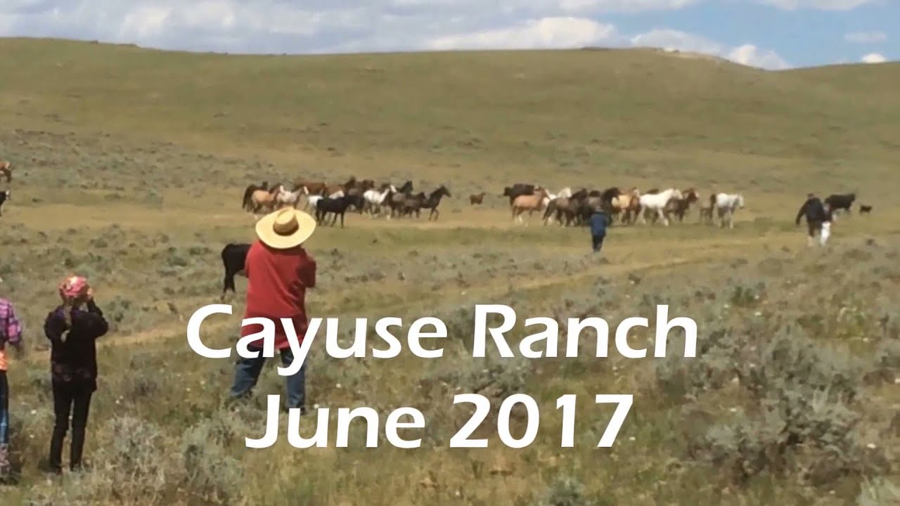 Cayuse Ranch - YouTube