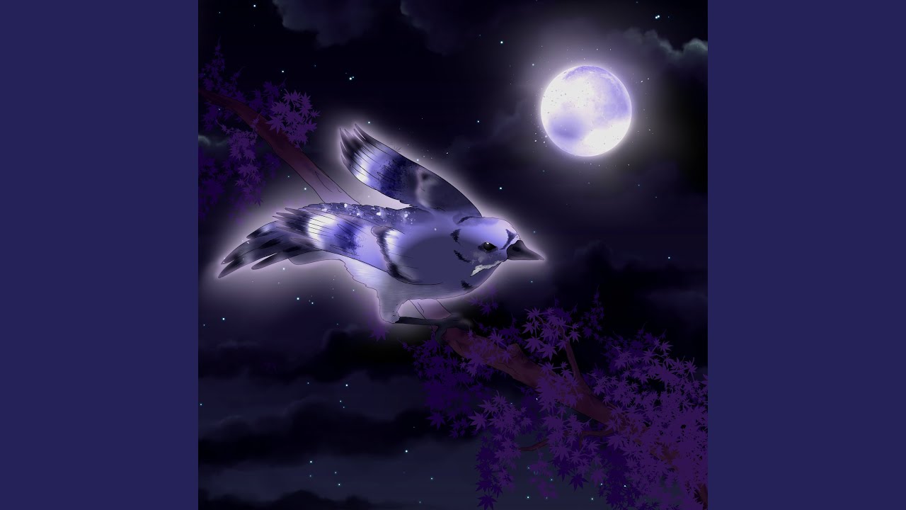 Lunar bird. - YouTube