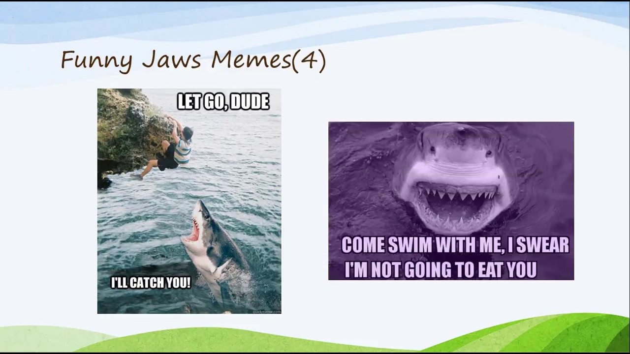 Meme's Work | Funny SHARK (aka "Jaws") Memes - YouTube