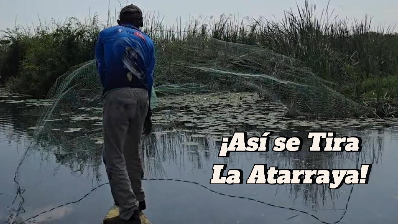 Pesca con Atarraya - YouTube