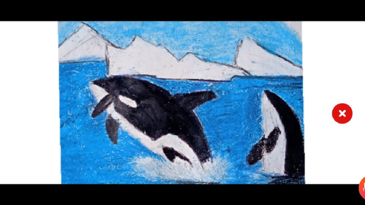how to draw a scenery of orca/ killer whale with oil pastel - YouTube