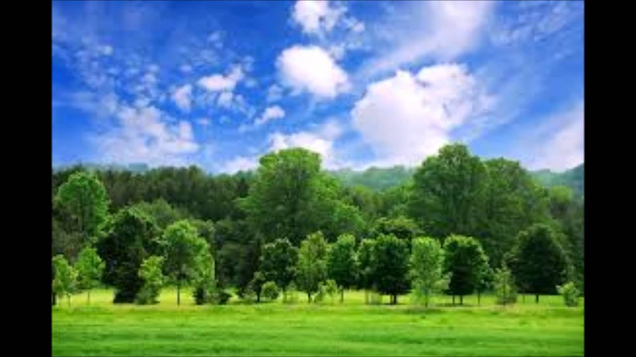 PENNY PENNY GOOD MORNING PAPA PENNY - YouTube