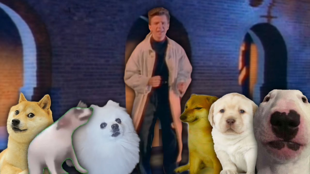 Rick Astley loves puppies - YouTube