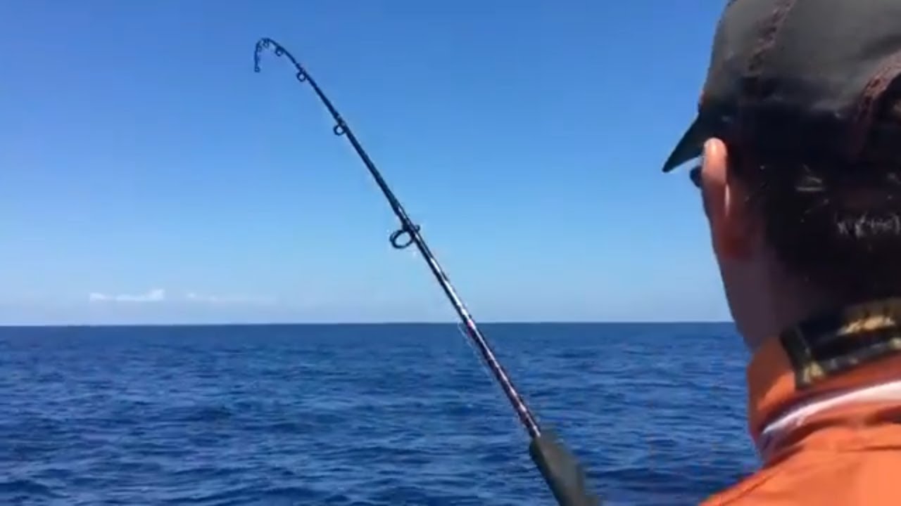 Get the GAFF! hook a mahi mahi in Florida with On The Hook charters ...