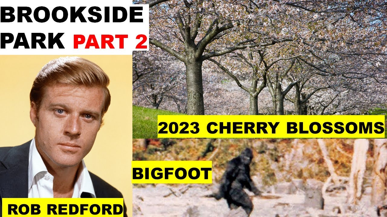 Brookside Park - Then and Now PART 2 - YouTube