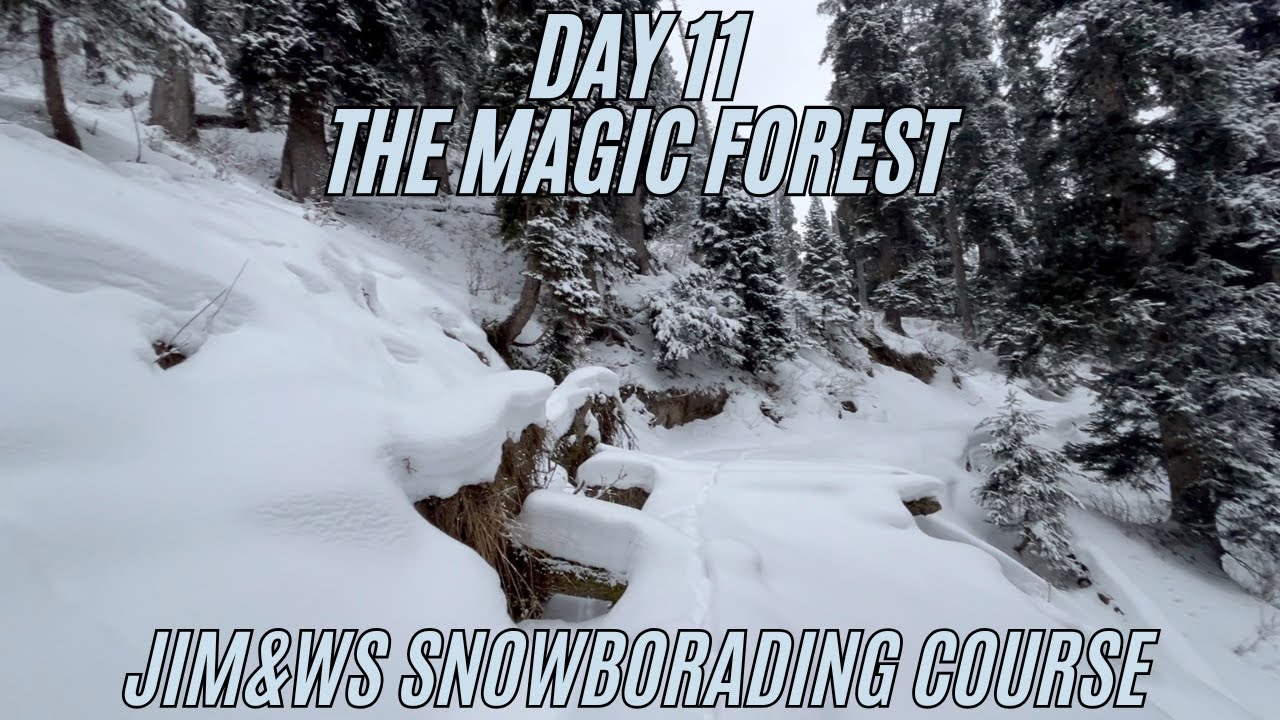 Gulmarg – Day 11 | Slalom Practice, Magic Forest & A Quiet Escape | JIM ...