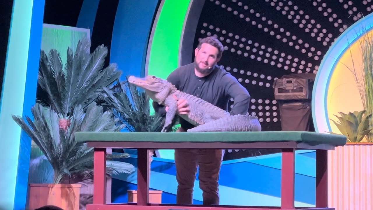 Feathers, Scales, & Furry Rescue Tails (Full Show) at SeaWorld San ...