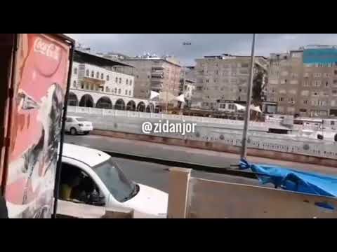 Hikobaba Tüm küfürler