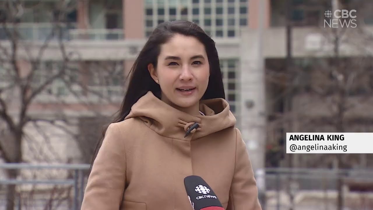 Mario D. Bellissimo Speaks with CBC News on PR Applications Being ...