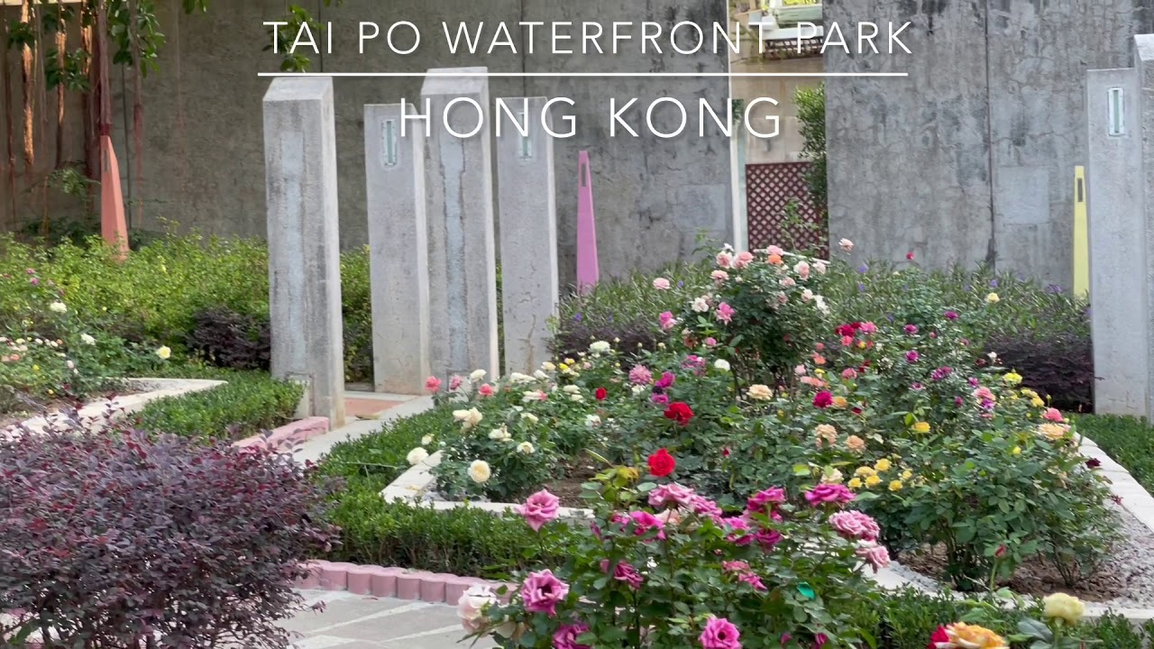 Tai Po Waterfront Park, Hong Kong - YouTube
