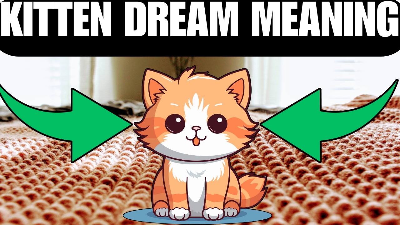 Kitten dream meaning Explained in 1 minute - YouTube
