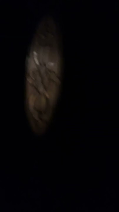 ;&;6hdjfydh)g)g?;hcuf(&4,53b - YouTube