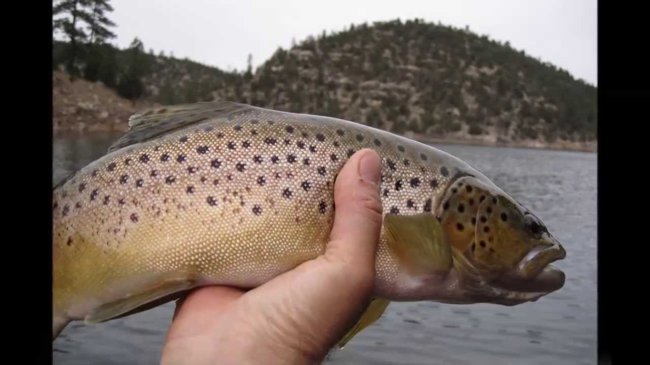 Chevelon Canyon Lake, November 15, 2012 - YouTube