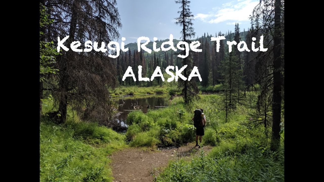 Kesugi Ridge Trail - ALASKA - YouTube