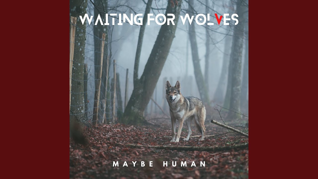 Waiting for Wolves - YouTube
