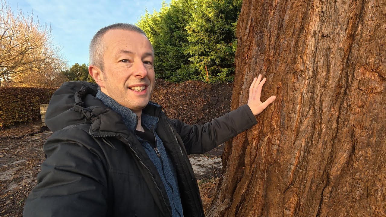 Psychic Tree Talk Stirling Scotland | Message for Humanity | Grumpy ...