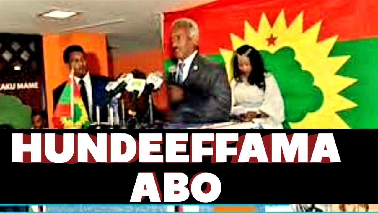 Jaal Dawud Ibsa Oduu Adda Bilisummaa Oromoo | Oduu Guyyaa Har'aa, Oduu ...