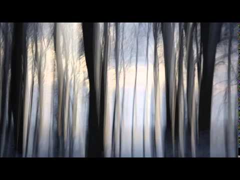 Dalgacı mahmut - diye değil. ( Büyük ev ablukada cover)