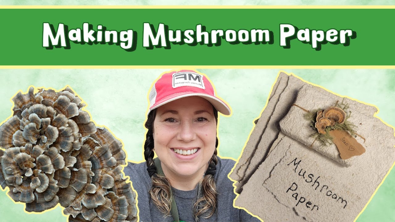 DIY Mushroom Paper #mushroom #papercraft - YouTube